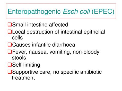 Ppt Gastroenteritis Powerpoint Presentation Free Download Id4317415