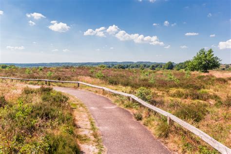 A Guide To 11 Beautiful National Parks In The Netherlands