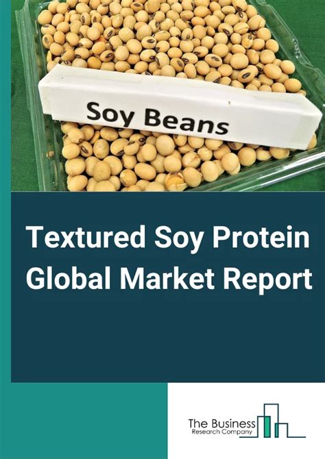 Soybean Market 2025 Market Outlook Growth And Industry Size
