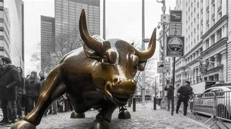 王向阳谈期货投资经验 知乎