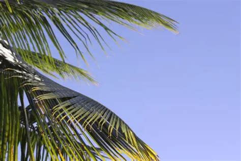 Frawn Fotos Baixe Imagens Gratuitas Na Unsplash