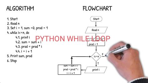 Python While Loop Statement Youtube
