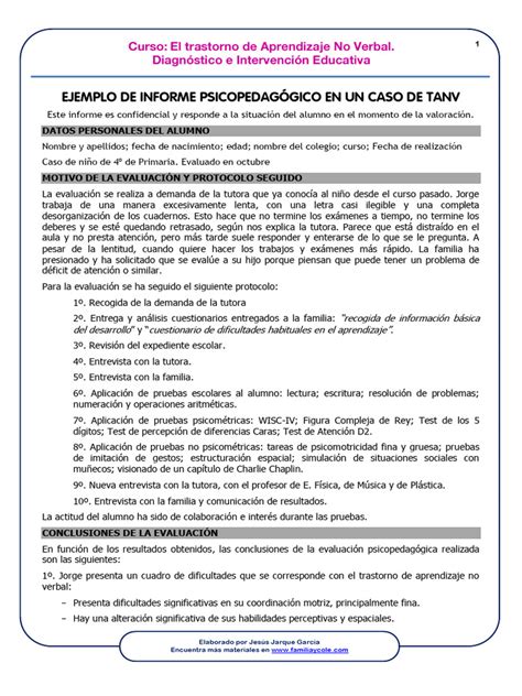 08 Ejemplo De Informe Psicopedagogico De Tanv Descargar Gratis Pdf Salón De Clases Evaluación