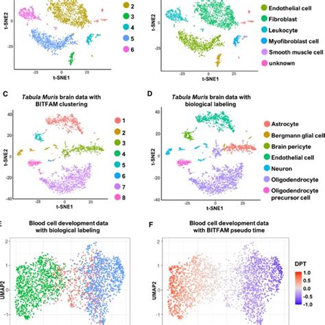 Transcription Factor Activities Inferred By Bitfam Correspond To Known