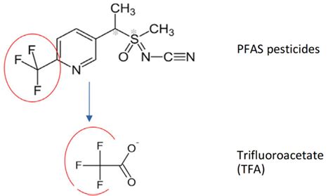 超短链全氟烷基化合物 三氟乙酸”分析利器——超临界流体色谱质谱联用技术 岛津新媒体管理系统