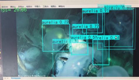 The Video Detection Results Of A Aurit By Comprehensively Improved