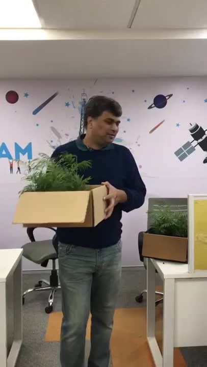 Ravi Shankar Rai On Linkedin The Energy Of Plants Always Fascinates Me