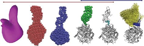 Saxs Models Of The Complexed Cellulase Can Be Reconstructed Using