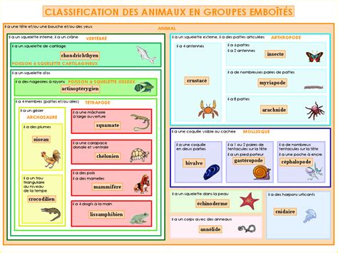 évaluation Svt 6ème Classification Des êtres Vivants Pdf Chtoby Pomnili