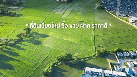 Lannaasset ขายที่ดินติดแม่น้ำปิง 17 ไร่ อำเภอแม่แตง ขายที่ดิน 17 ไร่