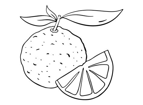 Pomelo Drawing Easy At Alice Fisher Blog