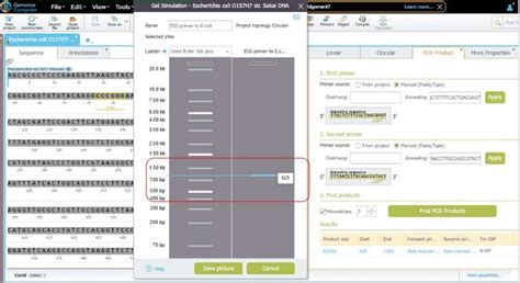 Genome Compiler In Silico Pcr Result Of Ess Forward And Ess Reverse