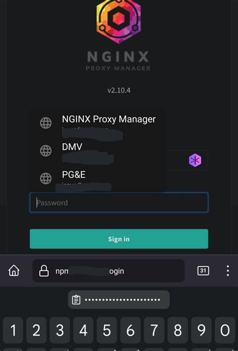 Bug Maybe Auto Fill Showing Every Saved Password Not Just The Matching Ones R Keyguard