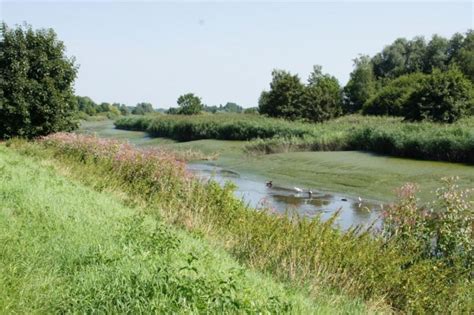 Tidal Rivers Coastal Wiki