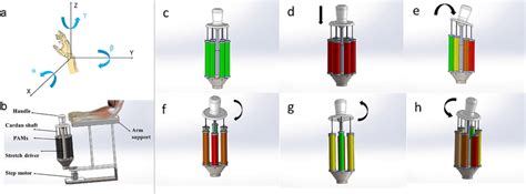 Illustration Of The Required Motions For Wrist Rehabilitation A Download Scientific Diagram