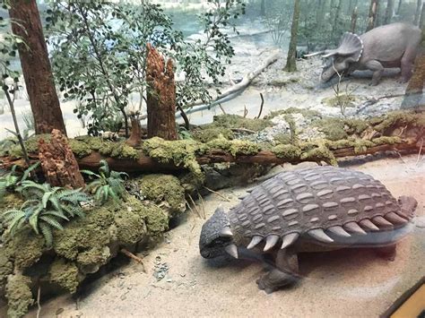 Facts About Ankylosaurus The Armored Dinosaur