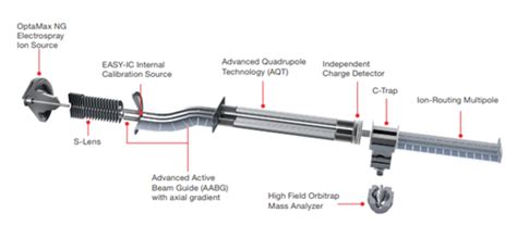 New Dimensions In Isotope Ratio Analysis Site Specificity Analyteguru