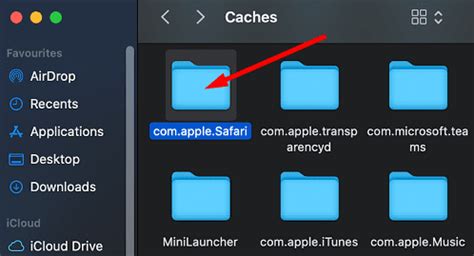Fix Safari A Problem Repeatedly Occurred AppleToolBox