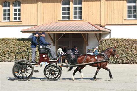 Don Ovan Mandoline Fm Unsere Freiberger Seite