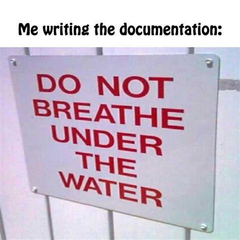 I Hate Writing Docs Rprogrammerhumor