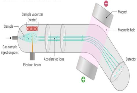 Mass Spectrometer 2021 Download Scientific Diagram