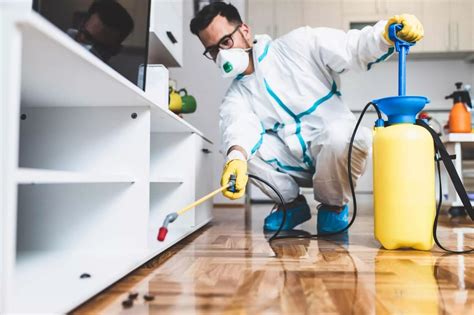 Mk Pest Services Reliable Pest Control Lasting Protection