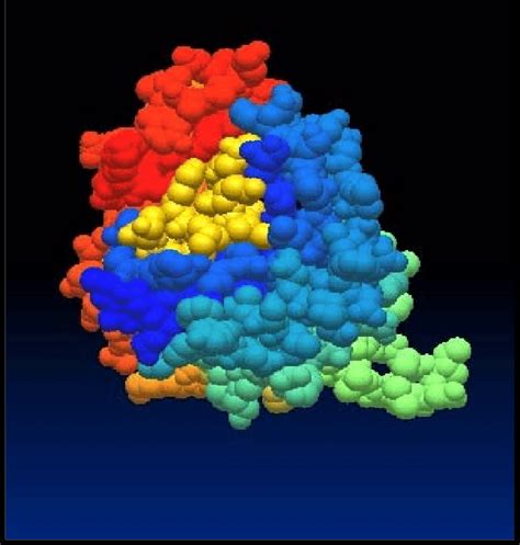 output of malign script showing the alignment and atp gtp binding site