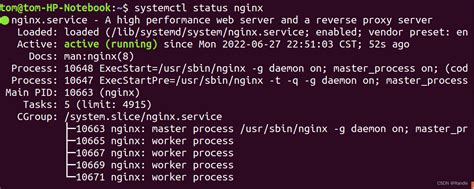 ubuntu上安装nginx问题解决以及端口解决 0 9 8 6 3ubuntu2 sudo service nginx status没有用