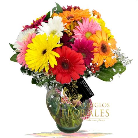 Gerberas En Florero Flores 🌺 Y Regalos 🎁 Para Toda Ocasión En