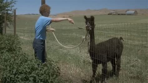 Gosh A Minecraft Movies Director Reveals The Napoleon Dynamite Easter