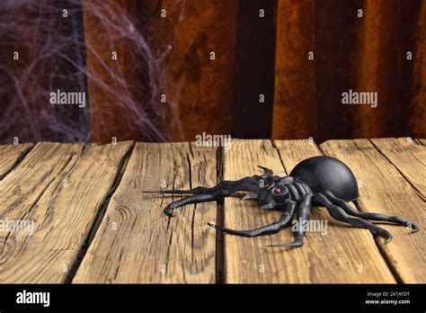 Creepy Fake Spider On An Old Wooden Board Against The Background Of