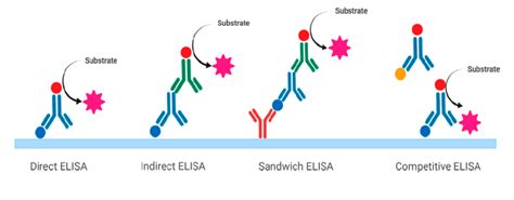 Alpha Lifetech Chip Assay A Chip Assay Chromatin By Alpha Lifetech Oct 2024 Medium