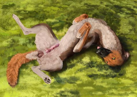 Rule 34 2023 Animal Genitalia Animal Penis Balls Borzoi Canid Canine