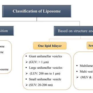 A Chart Of Main Types Of Liposomes And Their Characteristics