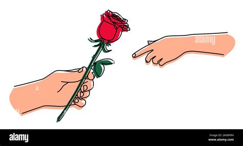 Hand Holding A Rose And Giving It Man Gives A Flower To A Woman Hand