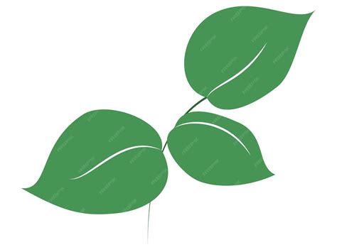 Premium Vector Green Leaf Frame Material