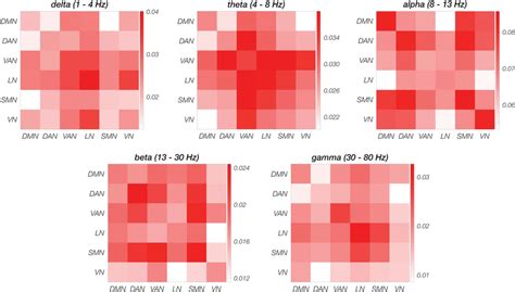 Functional Connectivity Values Between Pairs Of Networks In The Five