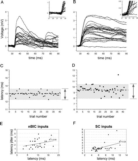 Examples Of Evoked Responses And Latency Analysis A And B Responses