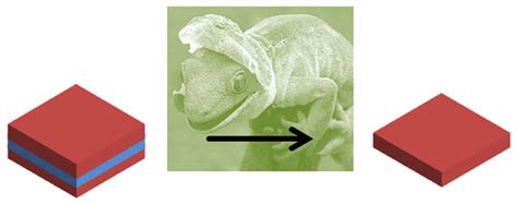 Towards Self Regenerating Antimicrobial Polymer Surfaces Abstract Europe Pmc