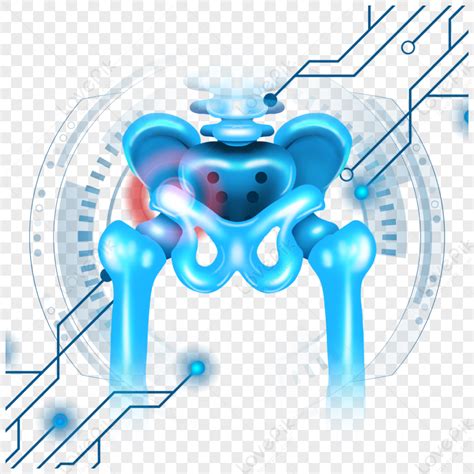 Light Effect Body Joint Bone Structureabstractskeleton Png Picture And Clipart Image For Free