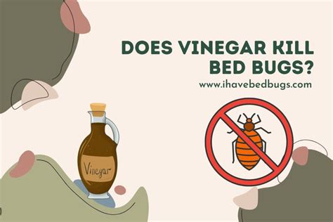 Does Vinegar Kill Bed Bugs