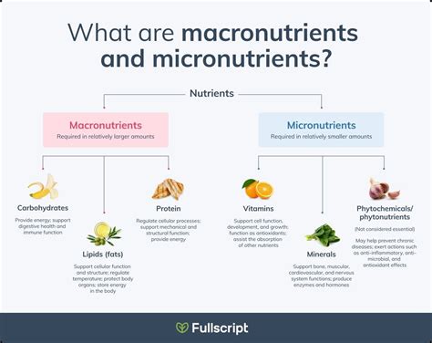 Pin By Brenda Lay On Minerals🏅礦物質 Micronutrients Macronutrients
