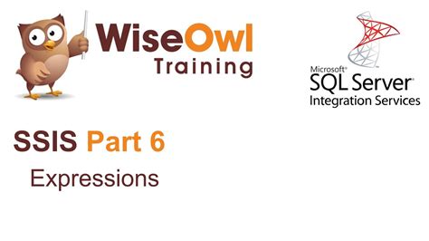 Sql Server Integration Services Logo