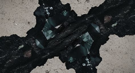 What Factors Determine Decomposition Rate → Question