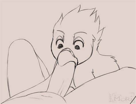 Rule 34 Animated Anthro Avian Balls Duo Feathers Fellatio Genitals