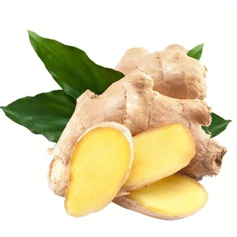 Ginger Extract Uses Advantages And Manufacturing Processes