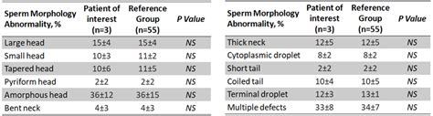 Summary Of Sperm Morphological Abnormalities Of The Semen Samples Of Download Table