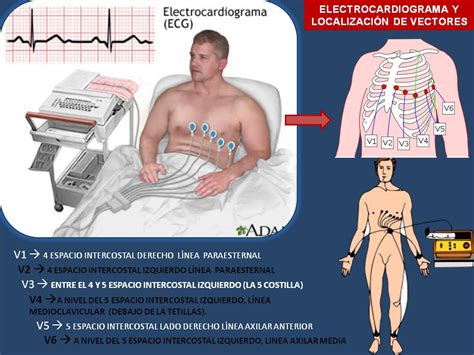 Portafolio De Evidencias FisiologÍa Basica Jonathan I Jimenez Uas