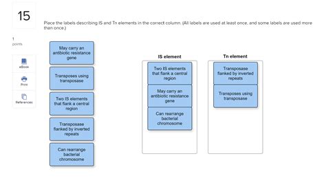 Solved Place The Labels Describing Is And Tn Elements In The