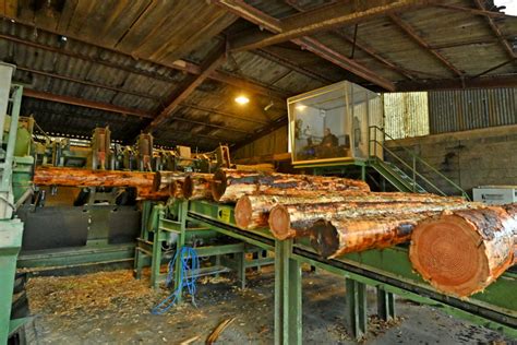 Photos Grand Verdun La Future Baraque Adrian Du Champ De Bataille à Lheure Du Sciage à Beauclair